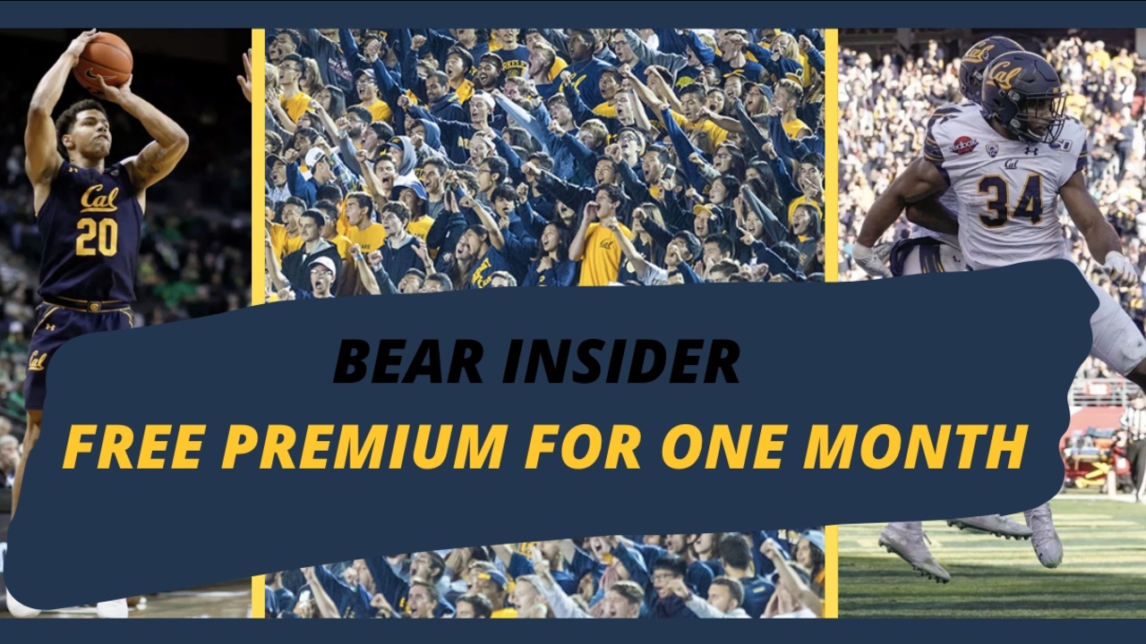 Special Free Premium Membership | Bear Insider